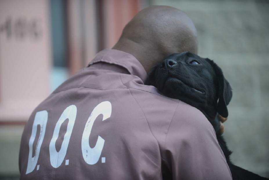 Four UDS Service Dogs Receive Training in State Prison - UDS Foundation
